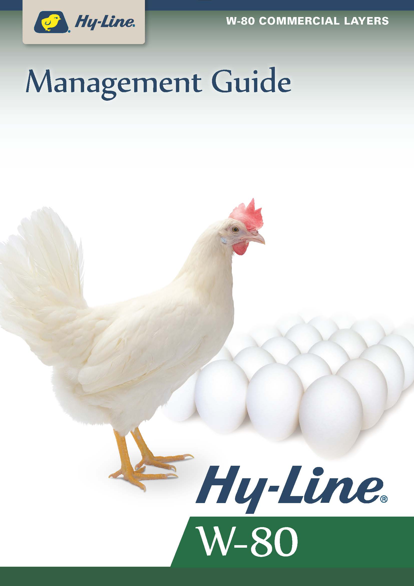 Hy-Line W-80 and W-80 Plus: Robust Layers for All Environments